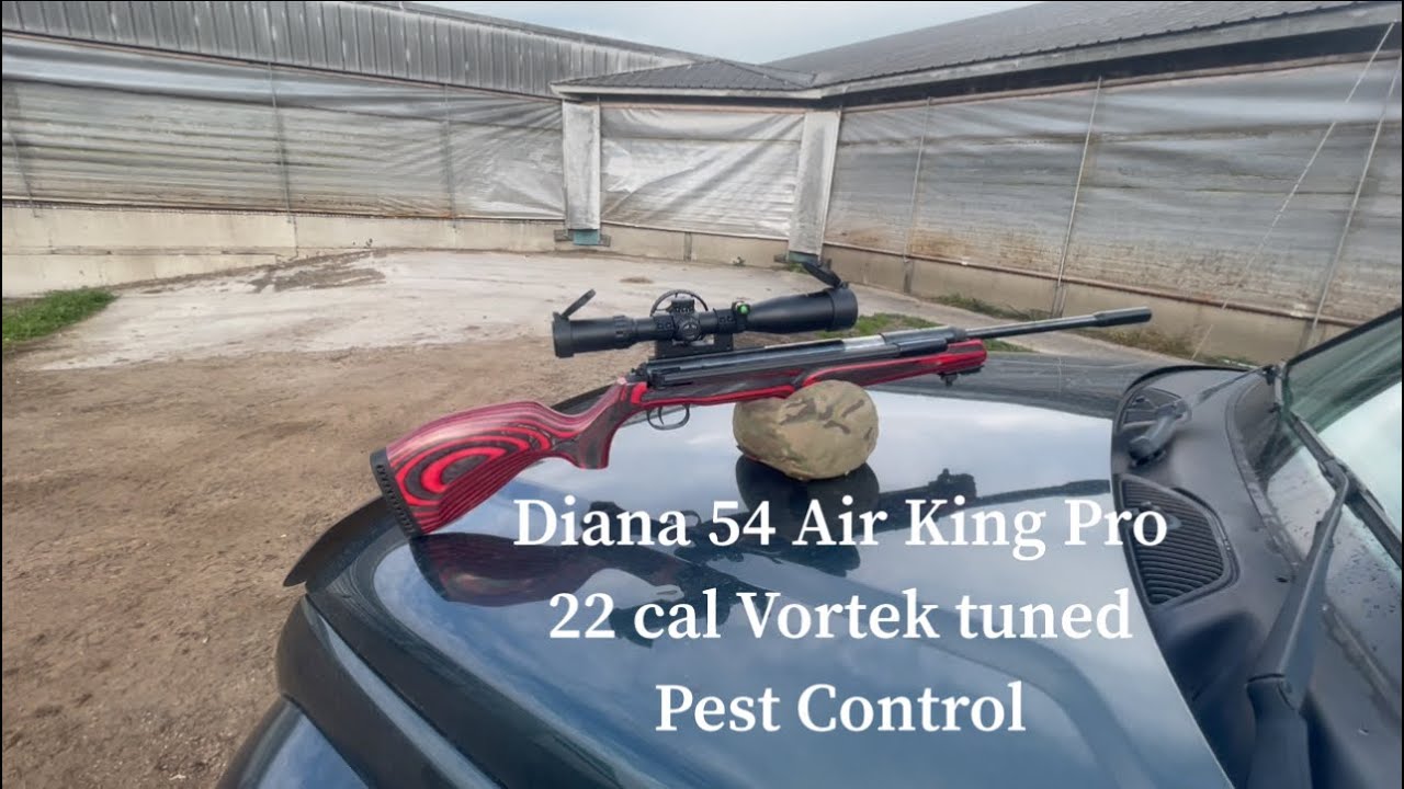 Diana 54 Air King Pro 22 Vortek tuned pest control #diana # ...
