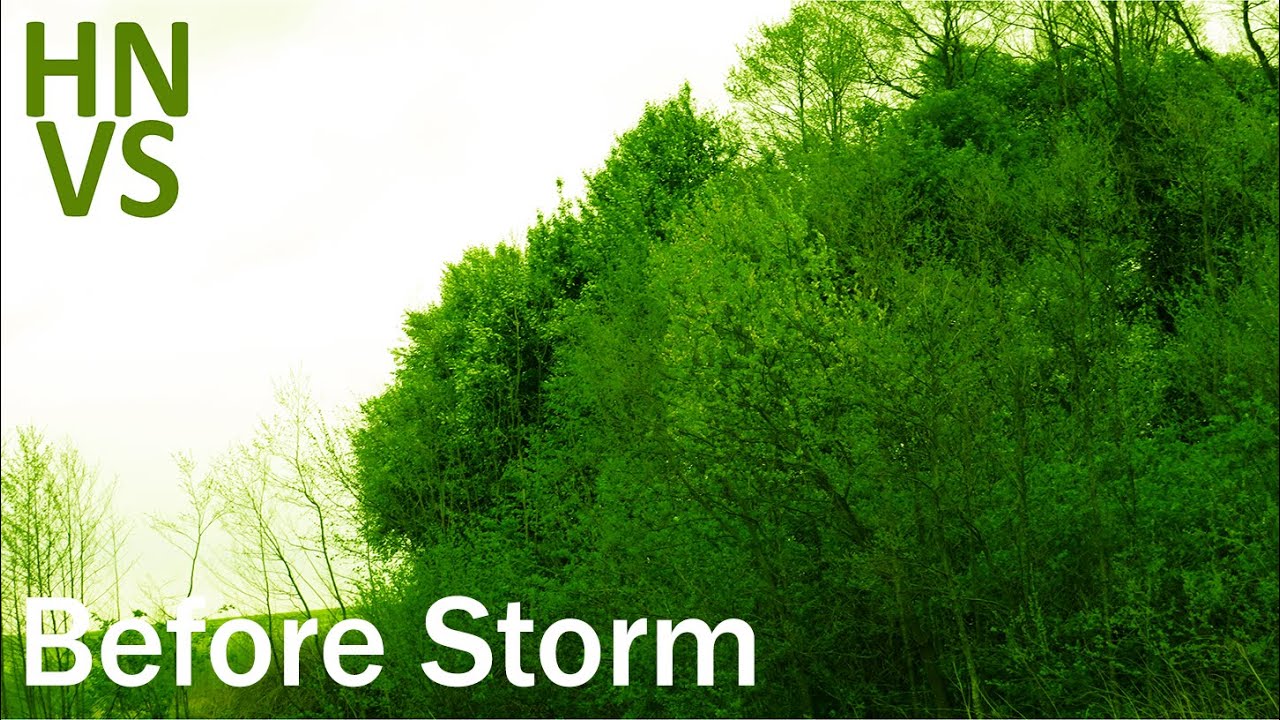 Before Storm - Wind Blowing Sounds - 1 Hour Relaxing Nature Video ...