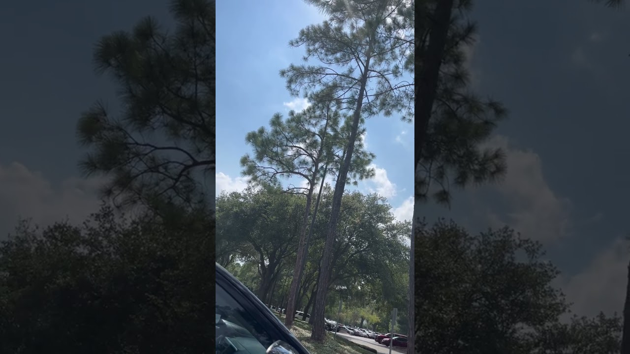 Ghost Captured in Florida -omg - YouTube