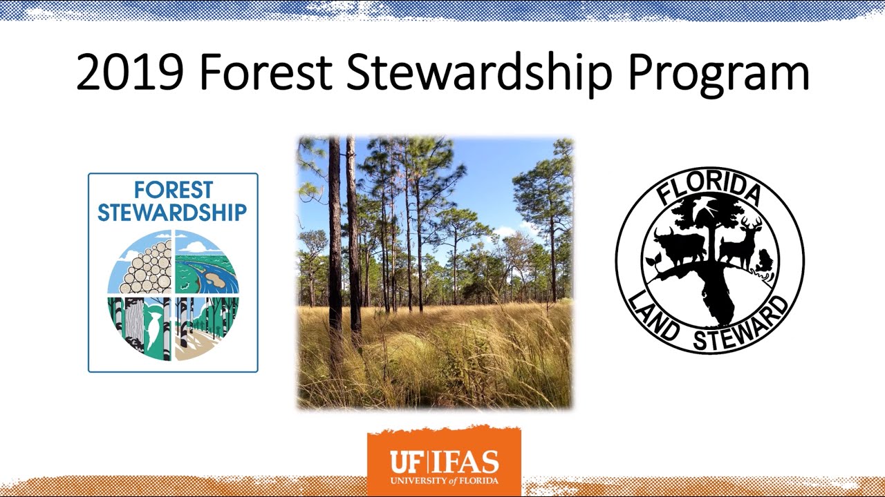 Forest Stewardship Program: 2019 in Review - YouTube