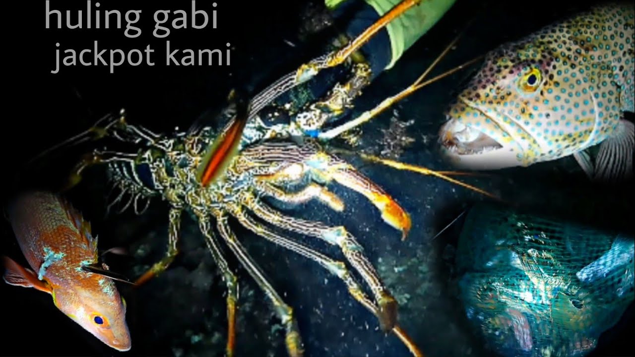 ep147, night spearfishing Philippines,huling gabi jackpot kami, - YouTube