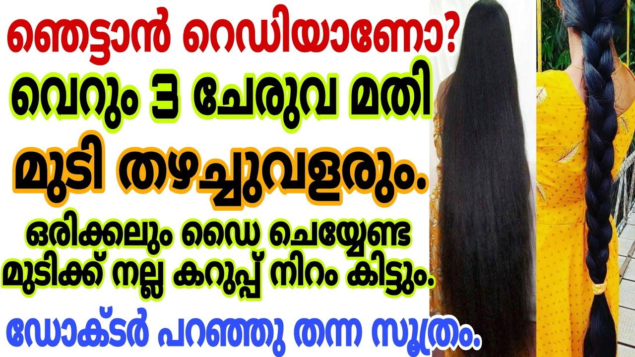 ഡൈ ഒരിക്കലും ചെയ്യേണ്ട വെറും 3 ചേരുവ മതി മുടി കട്ടക്കറുപ്പാകും എത്ര