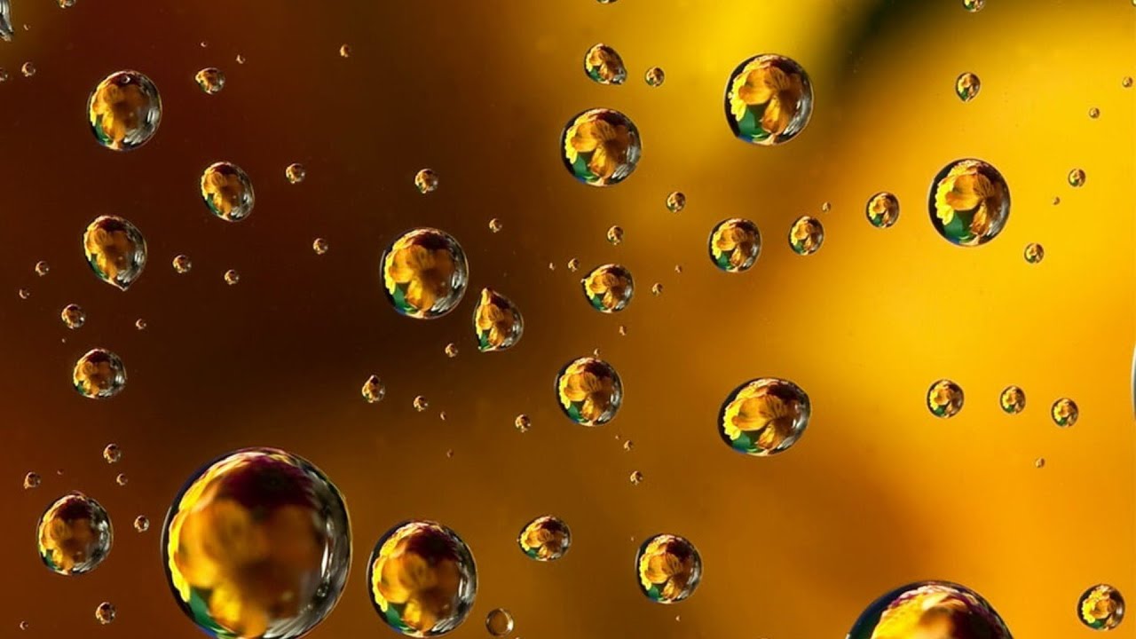 Tiger Sorf | New Song Video | New Movie | - YouTube