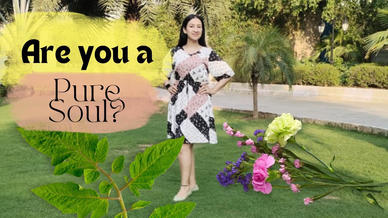 What Is Pure Soul Signs Of Pure Soul You Have A Golden Heart YouTube