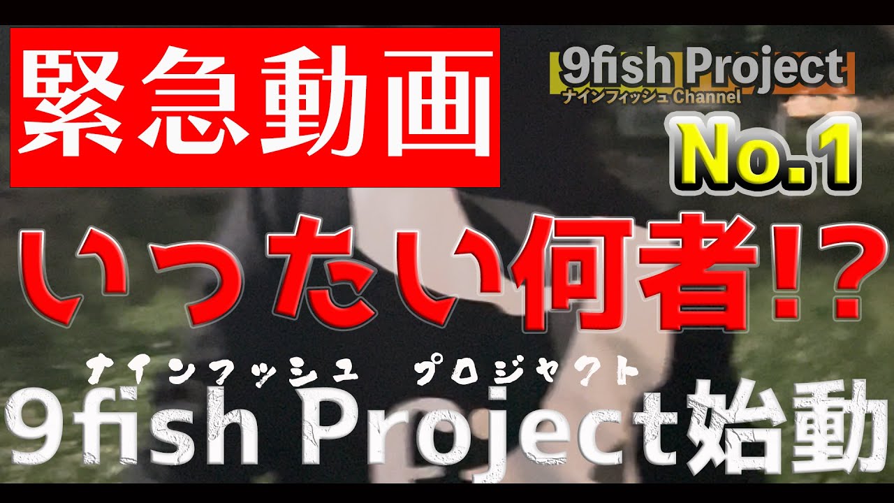 1【緊急,バンド復活_ナインフィッシュ今再始動】【9fish チャンネル01～プロジェクト企画01】一度は挫折した夢に向かって、彼らの音楽に再び陽の光は届くのか!? - YouTube