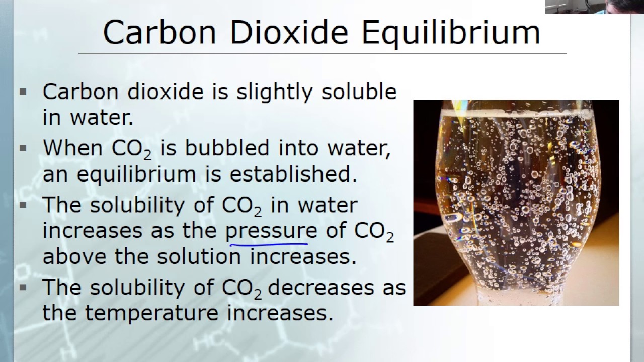 AE#10 CO2 solubility - YouTube