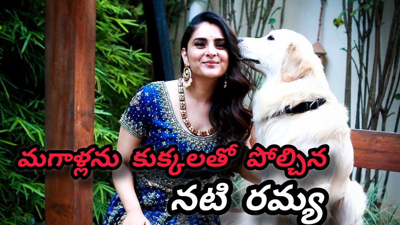 మగాళ్లను కుక్కలతో పోల్చిన నటి రమ్య || Actress Ramya Says Dogs Eguel To ...
