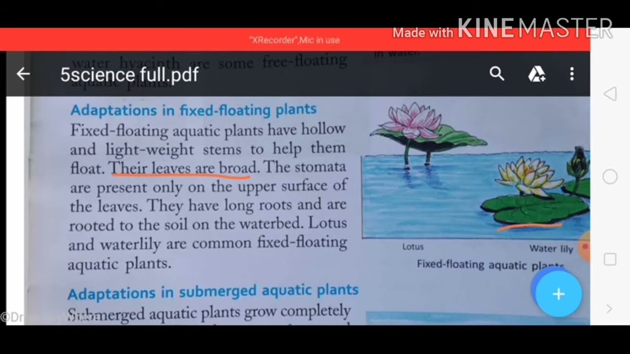 Class 4 Science Chapter 2 Part 2 YouTube Class 4 Science Chapter 2 Part 2 YouTube
