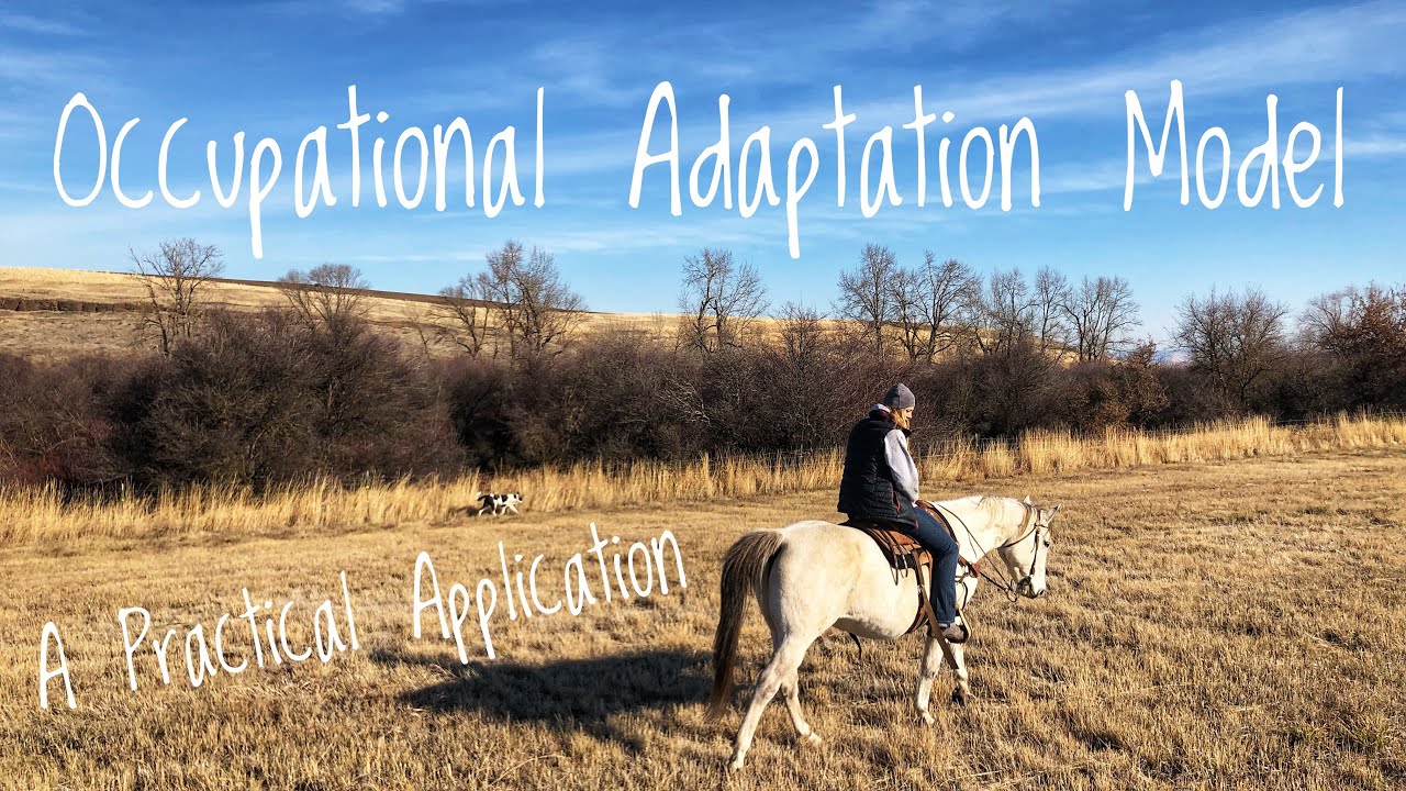 The Occupational Adaptation Model | A Practical Application - YouTube