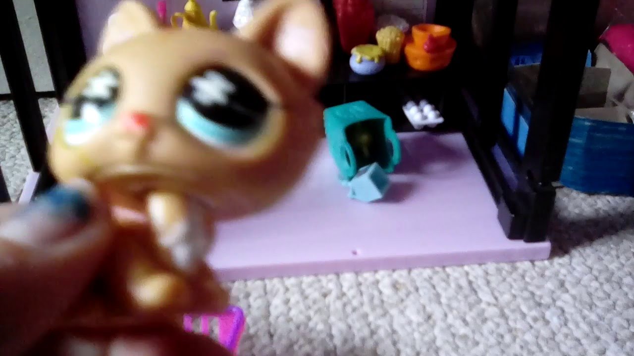 Diy LPS grocery store - YouTube