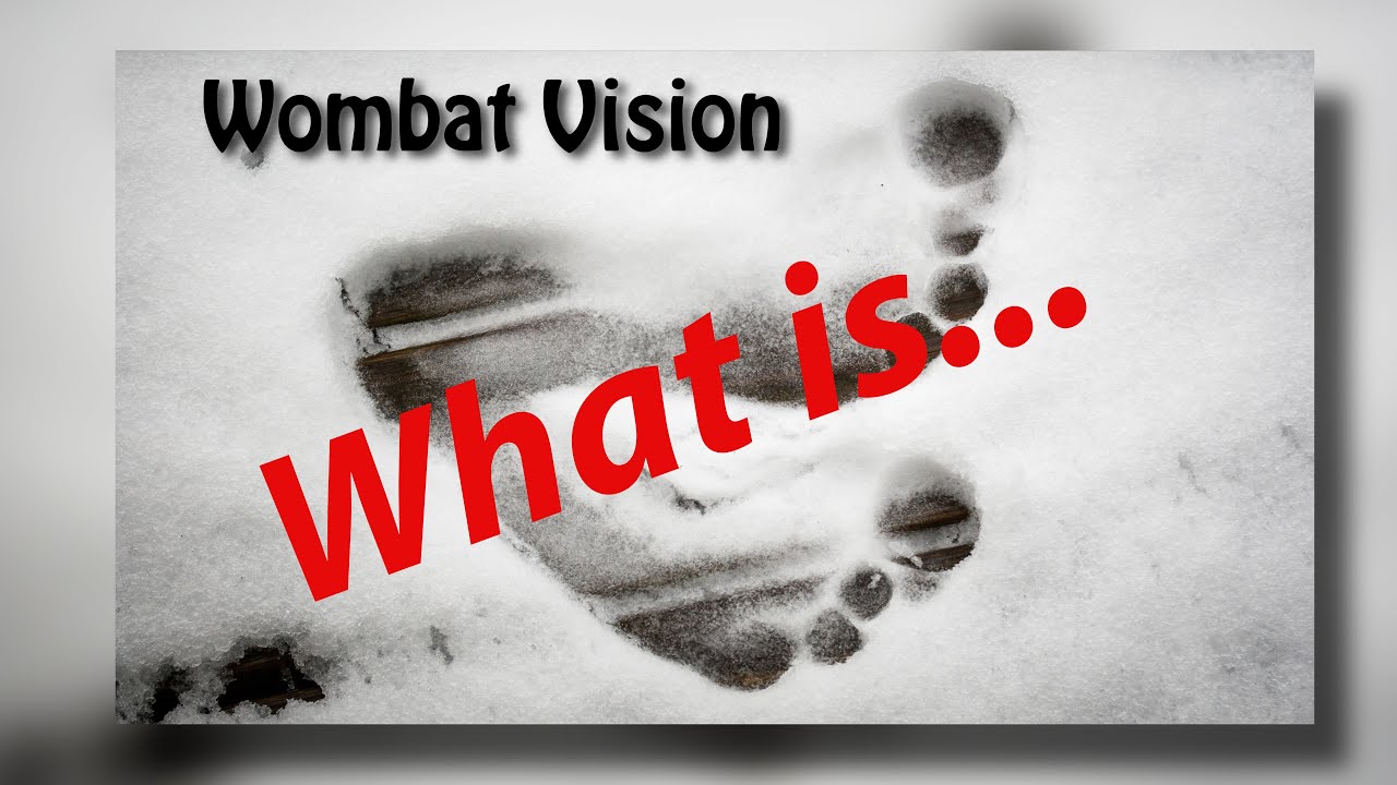 What is Wombat Vision? - YouTube