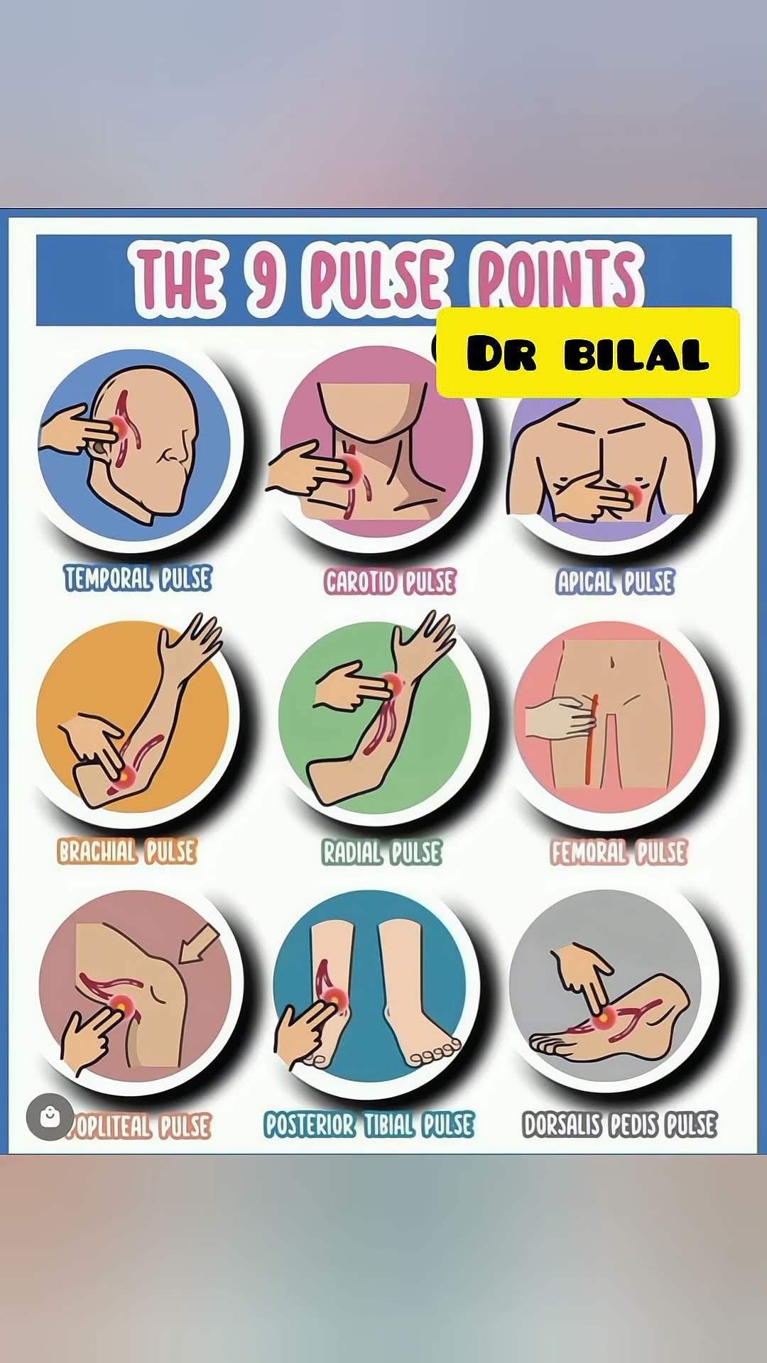 The pulse nine point#medical#pulse#region#information#science #doctor# ...
