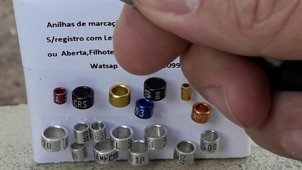 Anilha de Marcação padrão Fob Ibama canário Calopsita Trinca Ferro ...