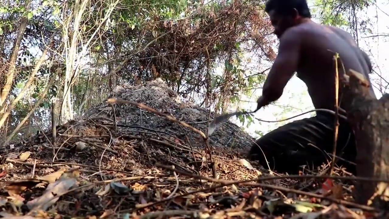 primitive survival tool video novo - YouTube