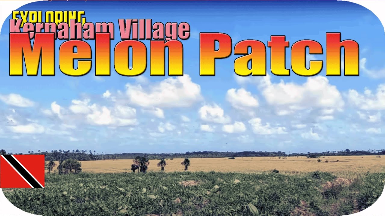 A driving tour through hot, sunny Trinidad around Kernaham and ...