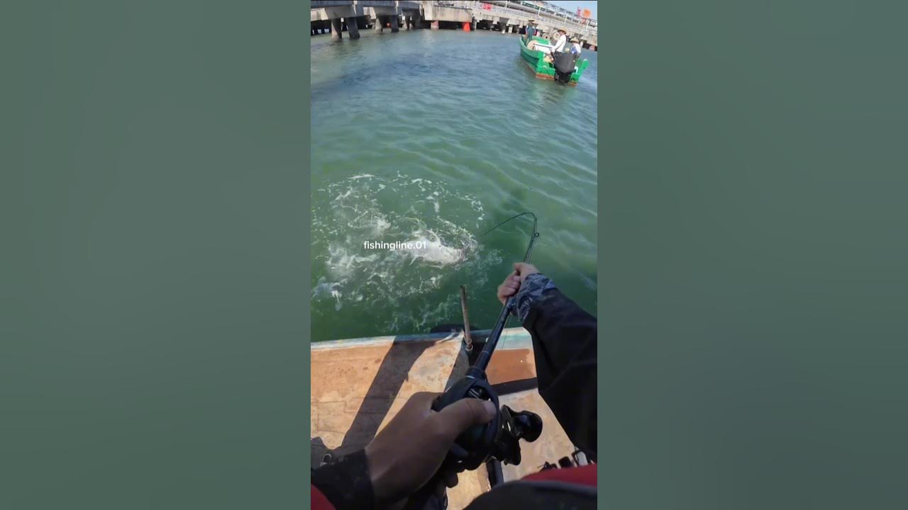 CRAZY PULL! FISHING FOR GT MONSTERS FISH IN THE HARBOR || CASTING FISHING #fishing #angler # ...