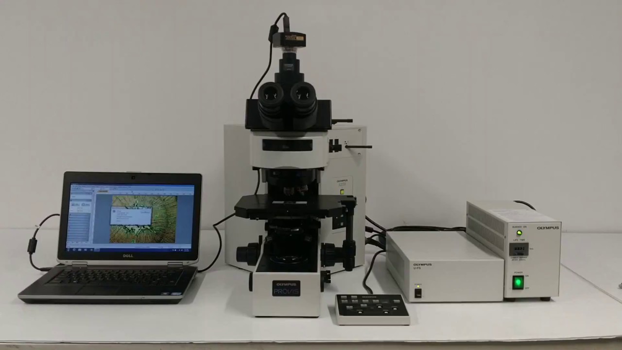 Olympus AX70 Motorized Fluorescence Microscope [BOSTONIND] - 13177 ...