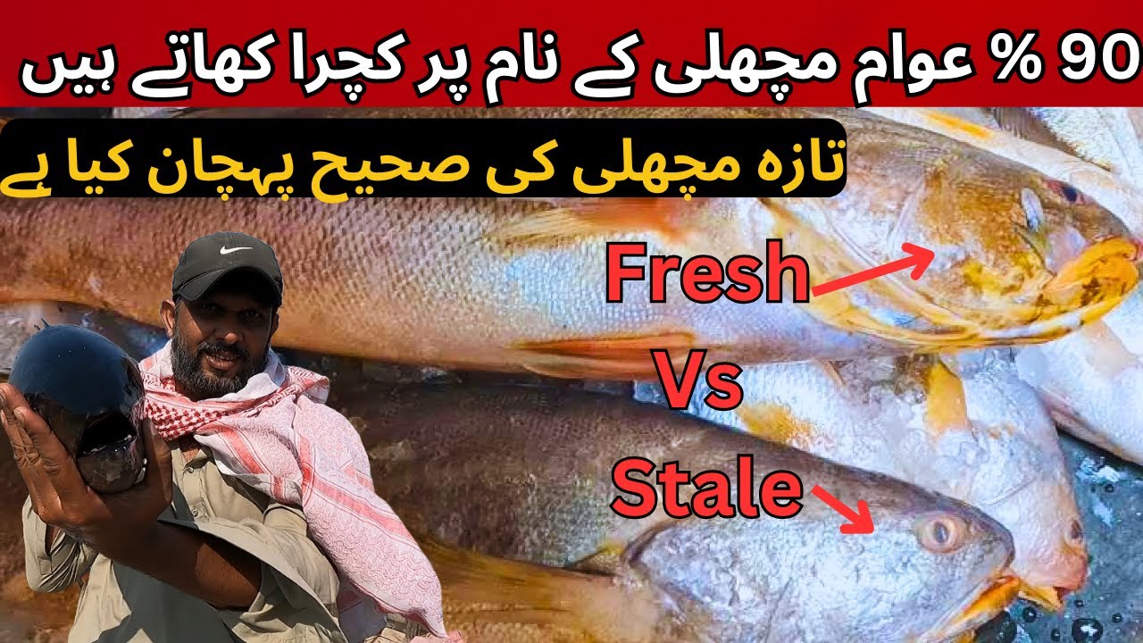 Identifications of Fresh Fish | Fresh Fish VS Stale Fish | How to buy ...
