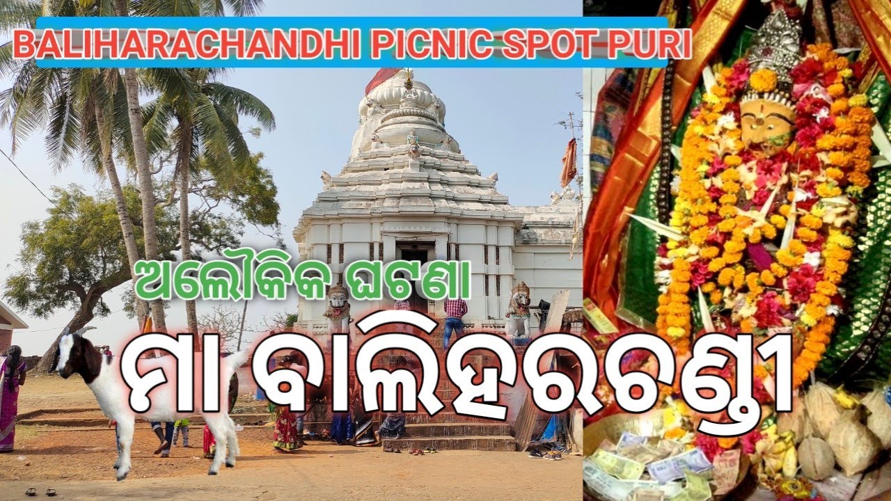 Baliharachandi Temple // The Most Beautiful Picnic Spot in Puri ,Odisha ...
