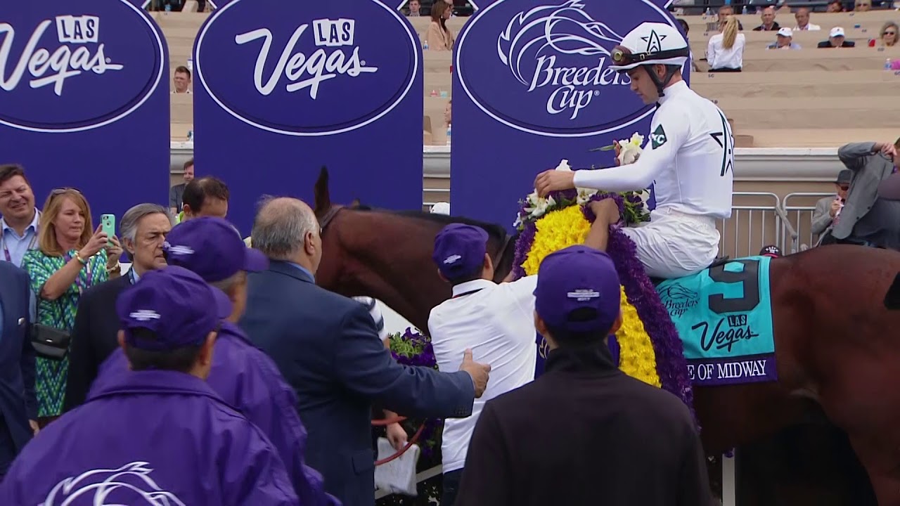 Battle of Midway Wins Las Vegas Breeders' Cup Dirt Mile Grade I Race 7 ...
