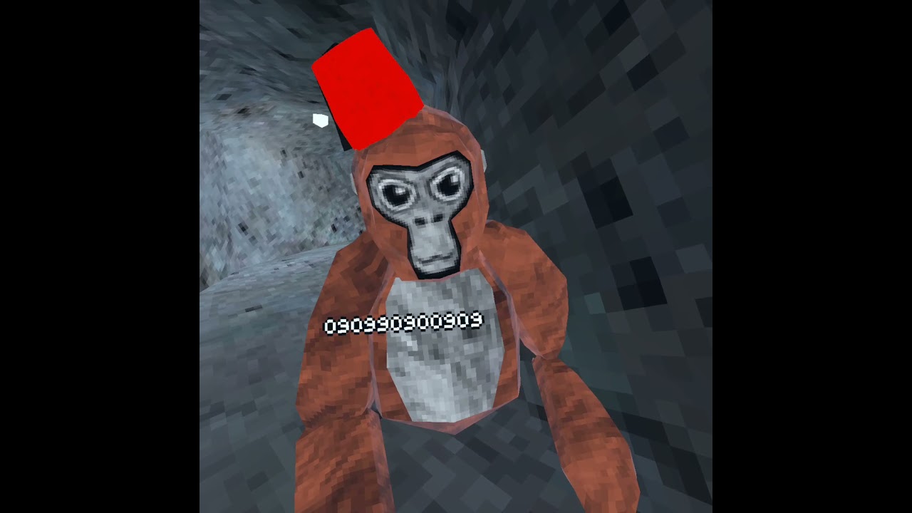 Real pbbv footage - YouTube