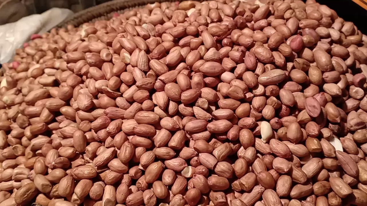 DRY FRUITS FOOD STREET PAKISTAN FOOD STREET LAHORE STREET FOOD FOOD dry-fruits-food-street-pakistan-food-street-lahore-street-food-food