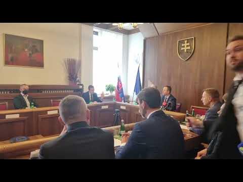 Zasadnutie Zahraničného výboru NR SR k odovzdaniu MiG - 29 na Ukrajinu - YouTube