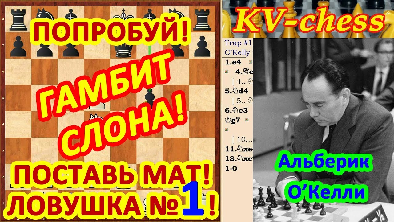 Гамбит Слона ♗ Ловушки в шахматах 1 в дебюте Видео для начинающих Youtube