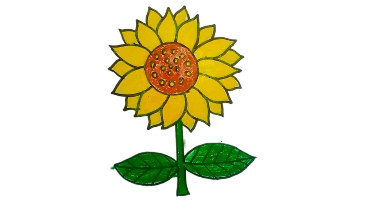 Sunflower drawing ||How to draw a sunflower step by step ||Art video ...