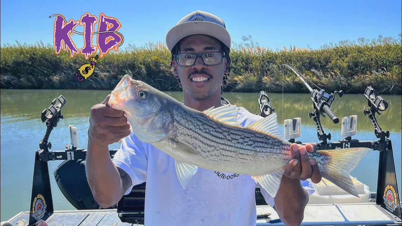 Live Minnow vs. Delta Striped Bass - YouTube