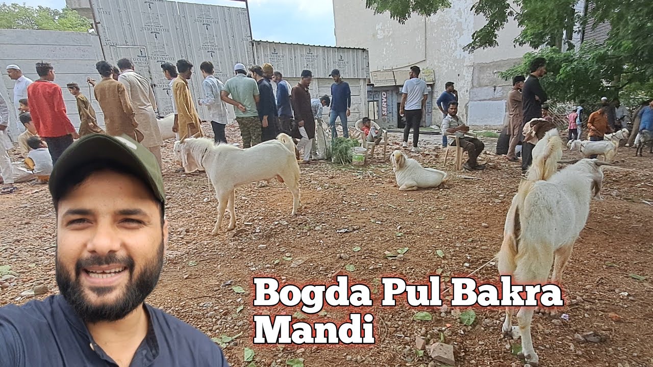 Bogda Pul Bakra Mandi 2025 BHOPAL - YouTube