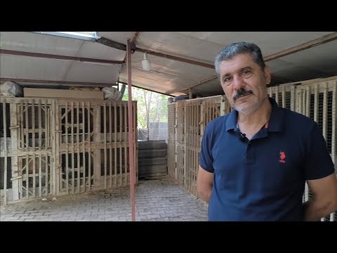 Türkiye'nin Tanıdığı Osmaniyeli Erdal Ustayı Ziyaret Ettik.