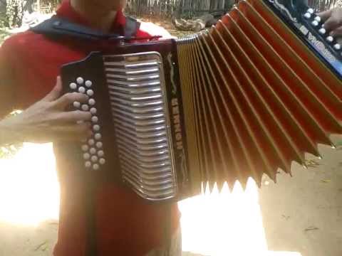 El pollo vallenato (acordeon 5 letras) - YouTube
