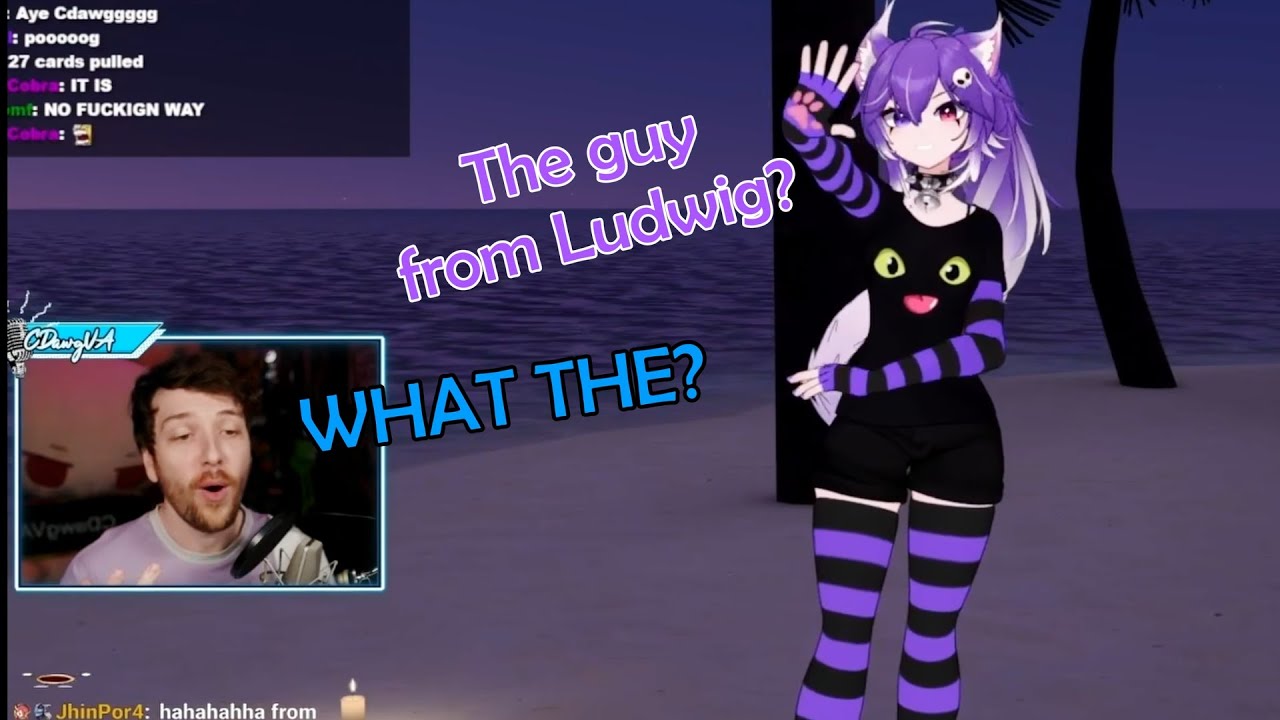 CDawgVA, AKA The Guy From Ludwig - YouTube