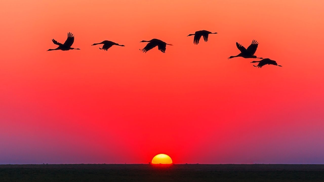 Relaxing Feel Good Music - Positive Feelings Energy Music with Nature ...