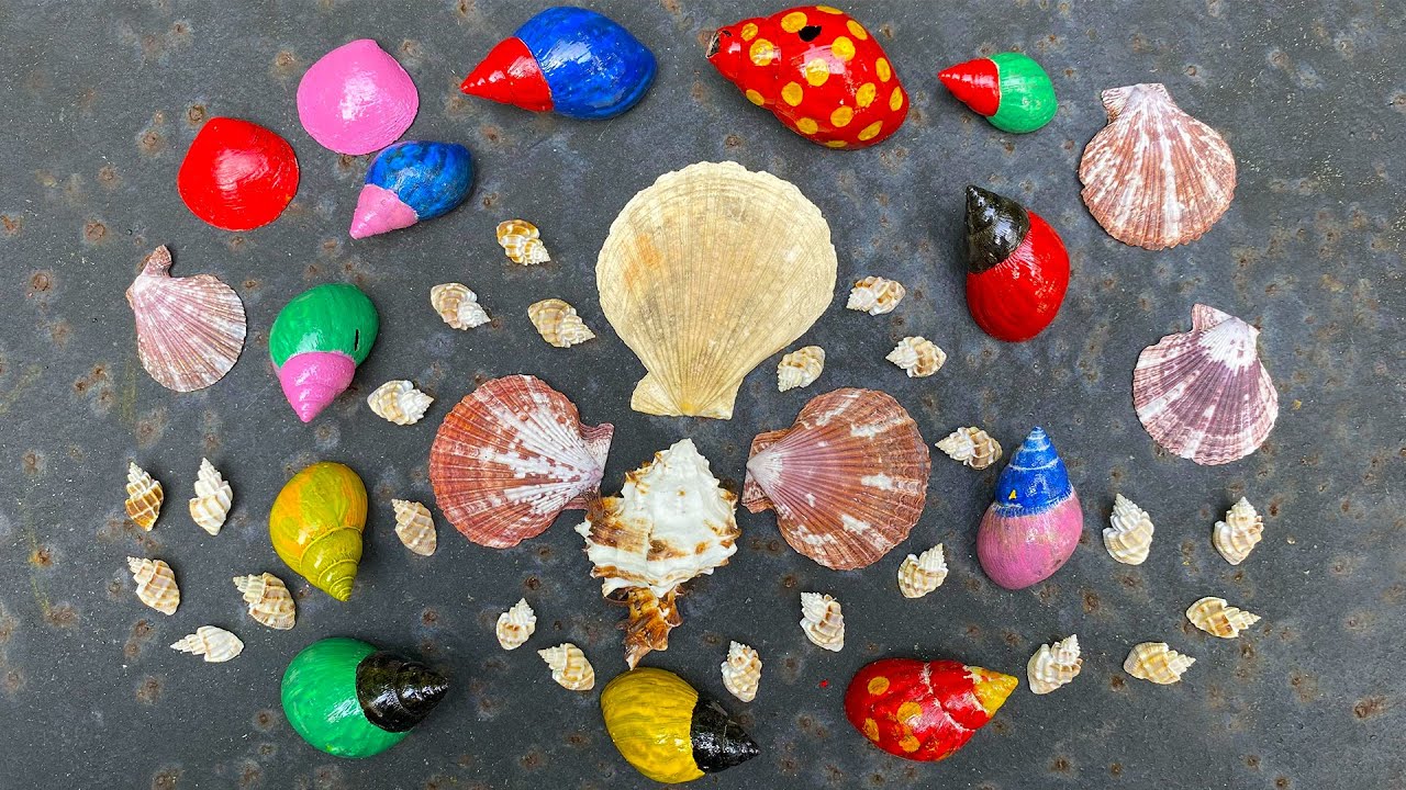 Mencari Siput Warna Warni, Siput Pelangi, Siput Macan, Siput Bekicot ...