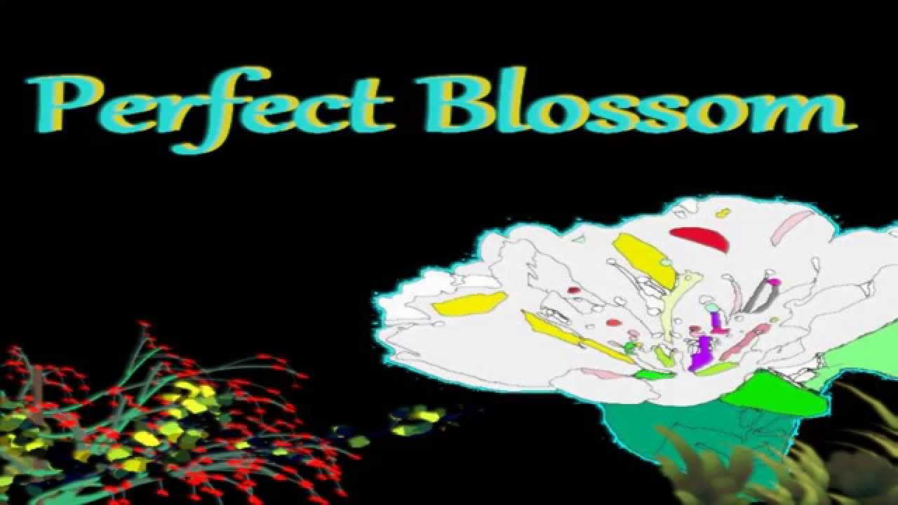 Perfect Blossom - YouTube