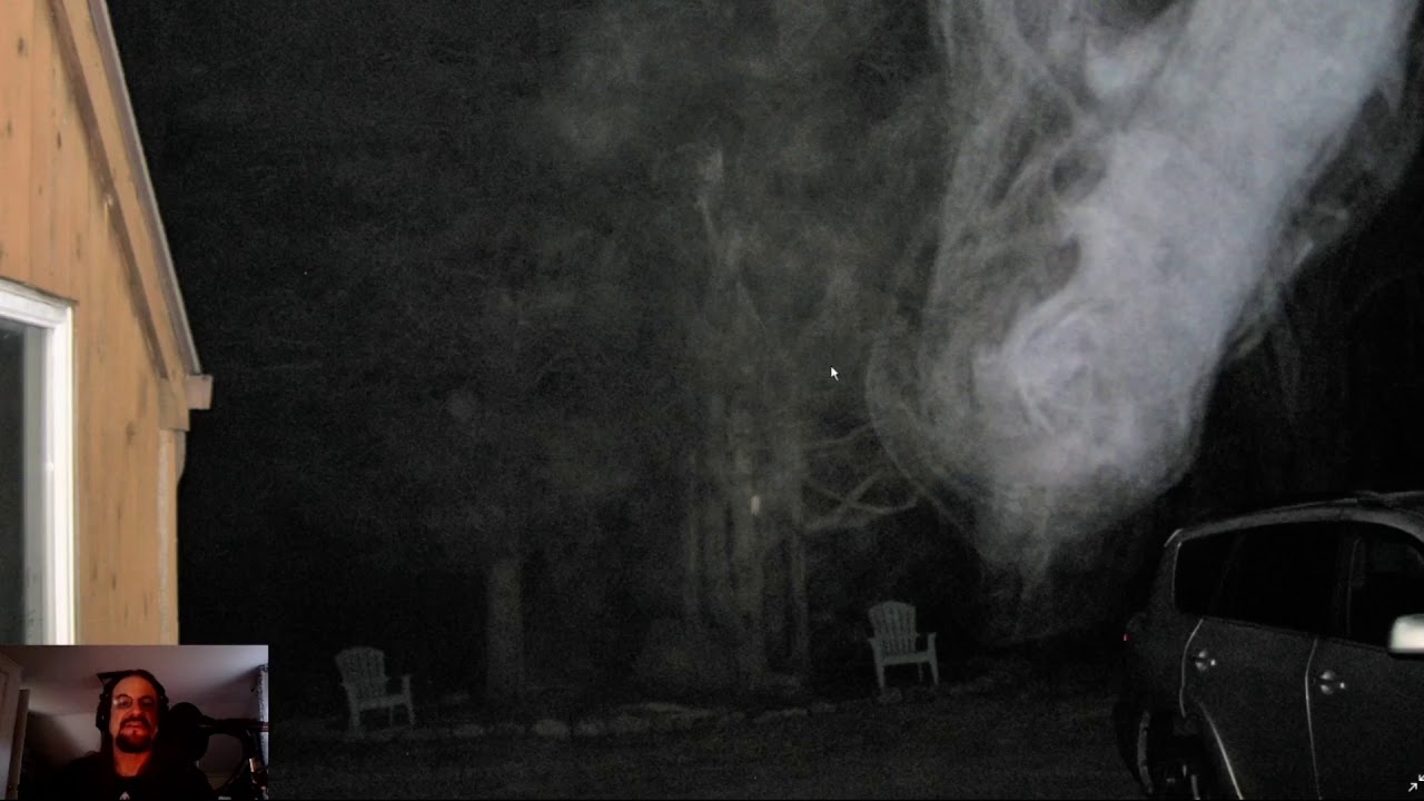 Feline Beings, Winged entities in our Backyard. so Cool - YouTube