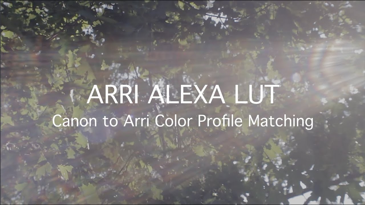 Canon to Arri Color Profile Matching - YouTube