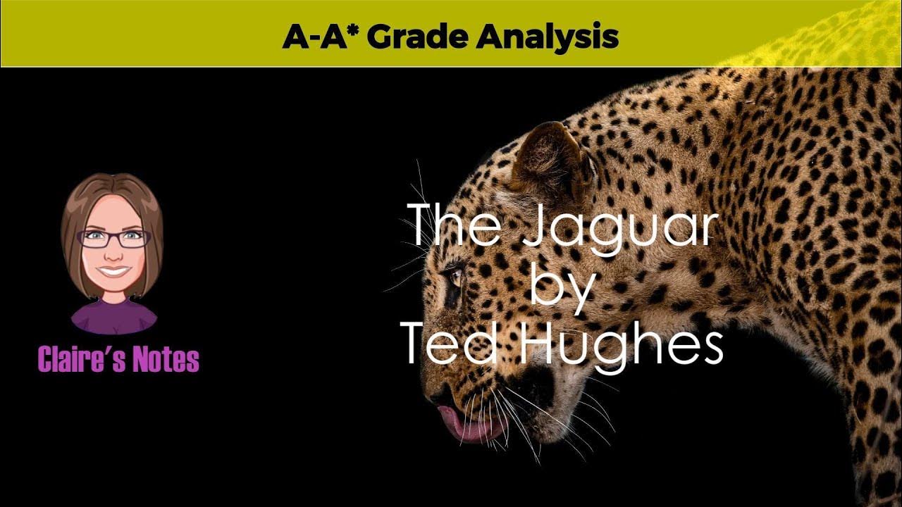 The Jaguar by Ted Hughes (detailed analysis) - YouTube