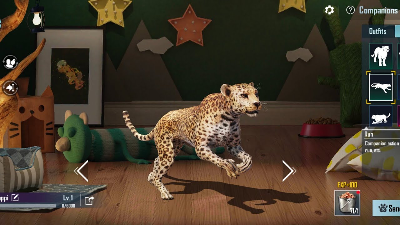 Obtaining Leopard Pet #bgmi #pubg #pets - YouTube