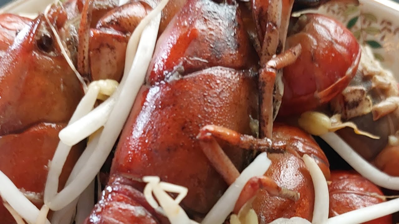 #155 Sls Yabbies from River Murray Elma tv Aust. is live - YouTube