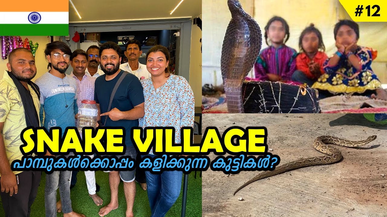 🐍Is Snake Village In Maharashtra Real? 🐍 | Shetphal Village Snakes ...