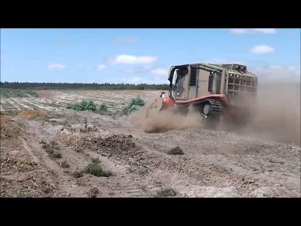 Grinding eucalyptus Stumps Raptor 800 AHWI Prinoth - YouTube