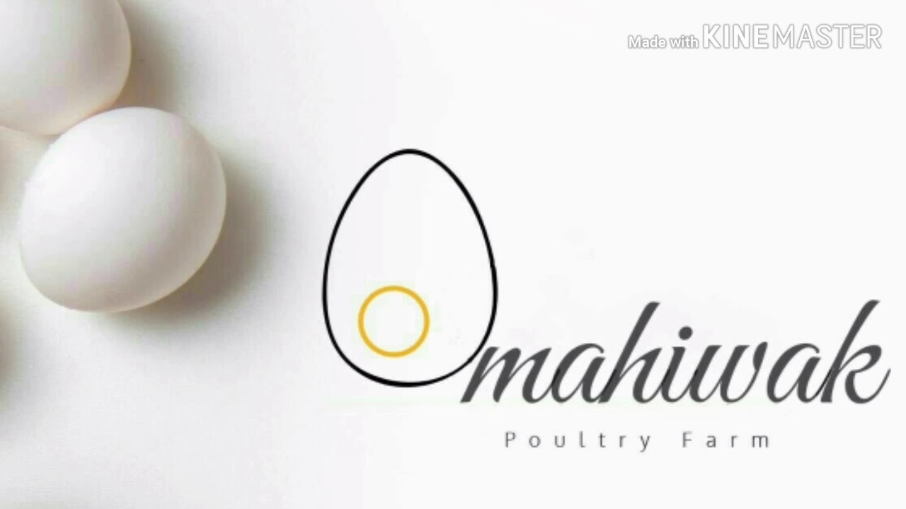 Proses packing telur - YouTube