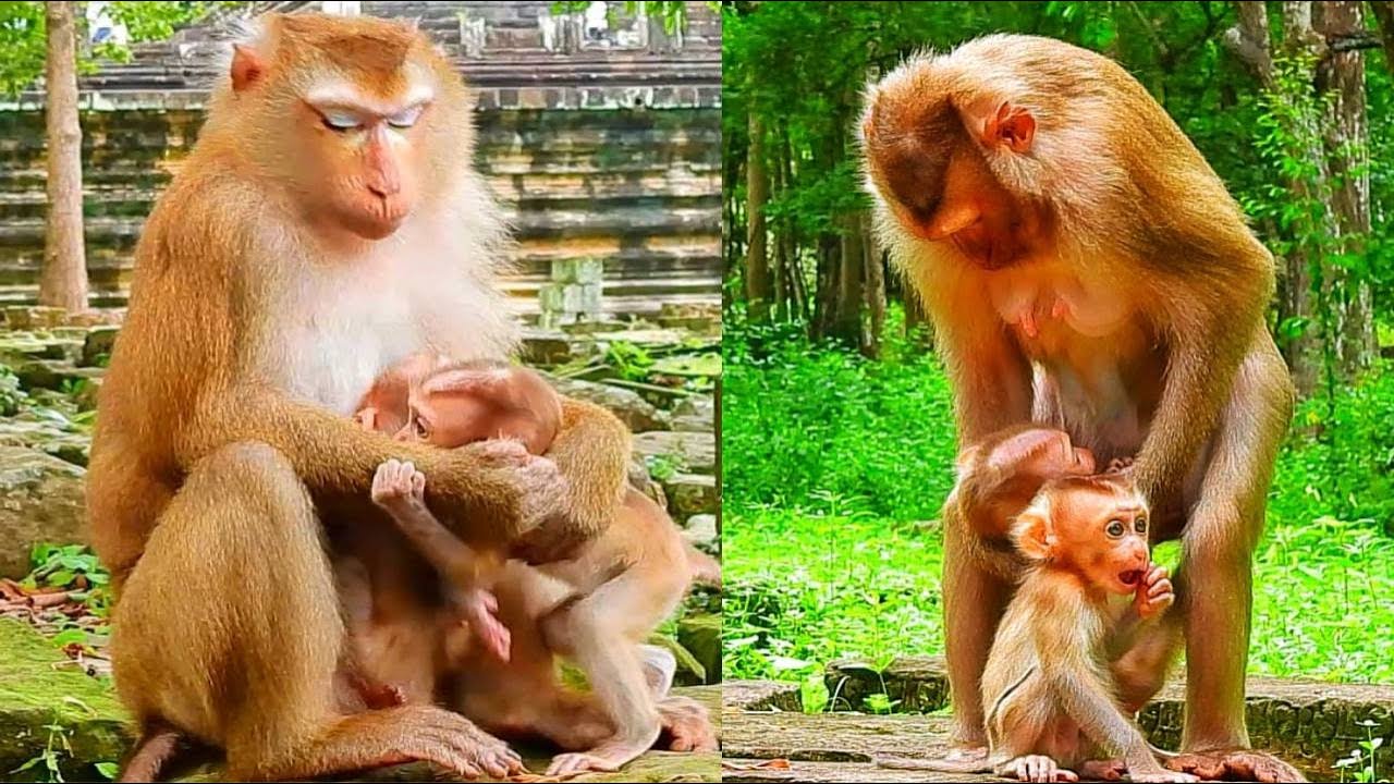 VERY HONEST AND SWEETISE. HUG WITH WARM LOVE. LITTLE BOTH VERY LOVELY ...