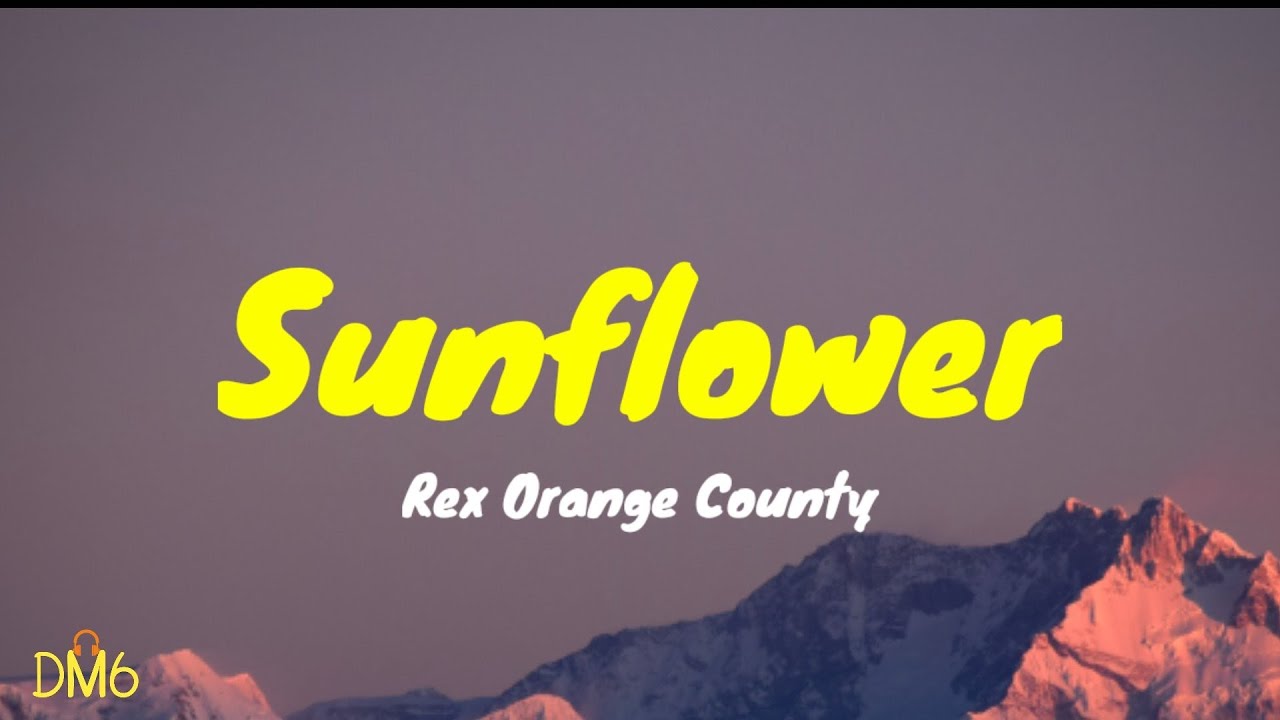 Sunflower - Rex Orange County (LYRICS) - YouTube