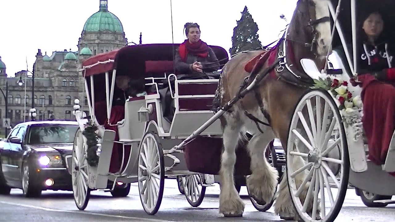 Horse drawn carriages in Victoria, BC, Canada - YouTube