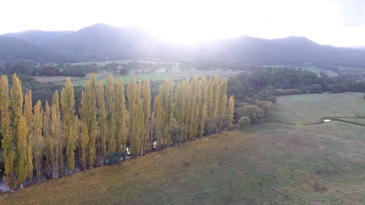 MOUNT BEAUTY - Tawonga - VIC - Australia - YouTube