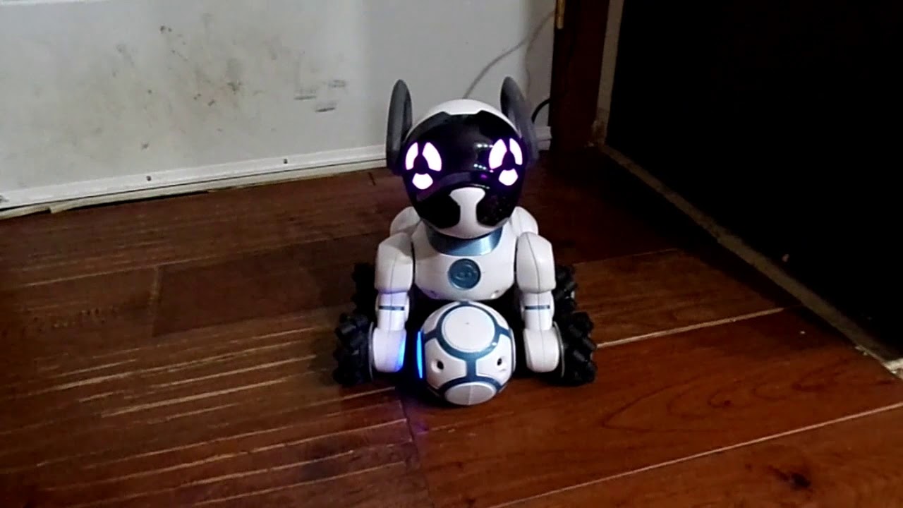 Chip The Robotic Dog - YouTube